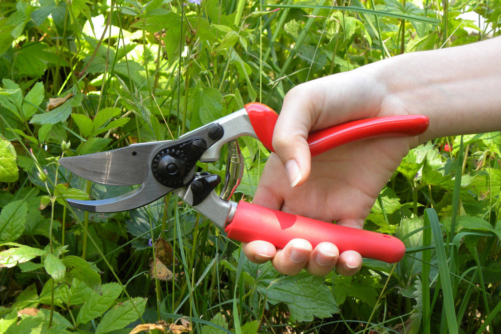 How to choose the right pair of secateurs - Forestry Tools