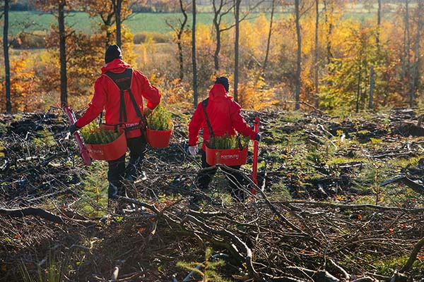 Logging & Diameter Tapes - Forestry Tools