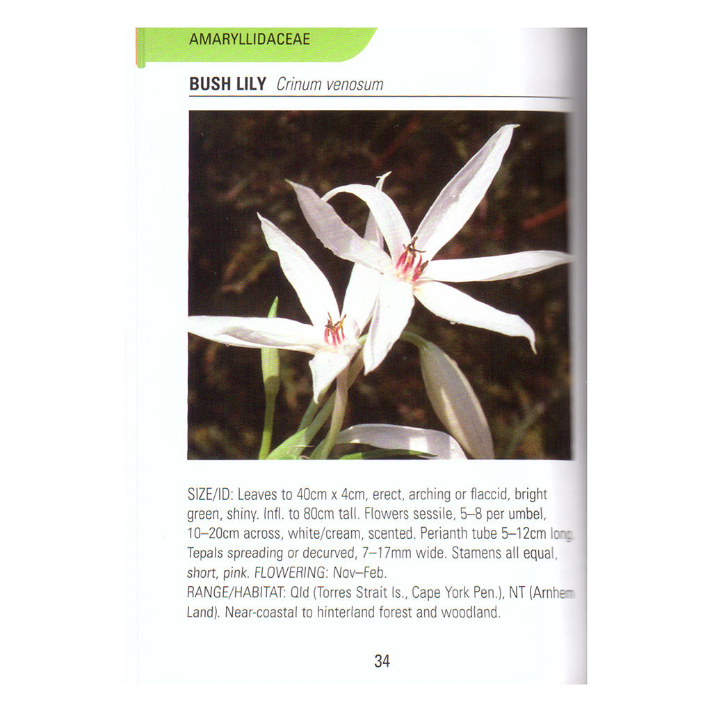 Concise Guide to Lilies Of Australia - Forestry Tools