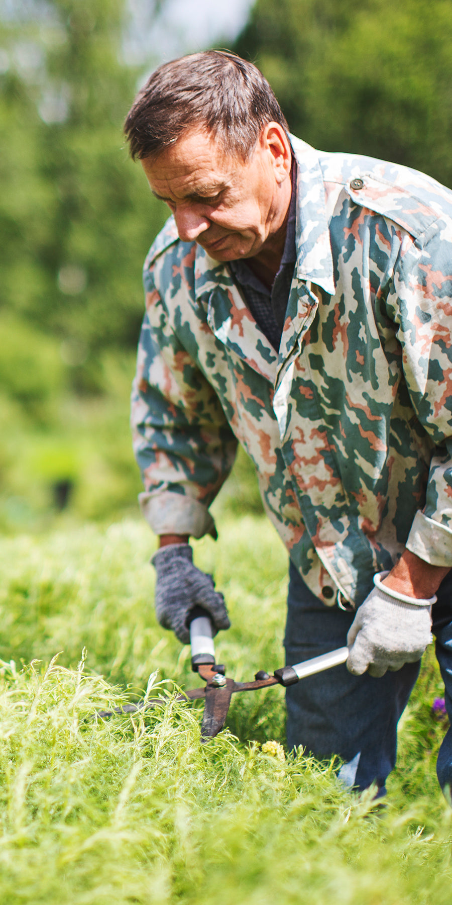 Forestry Tools - Professional tree planting, pruning and measuring