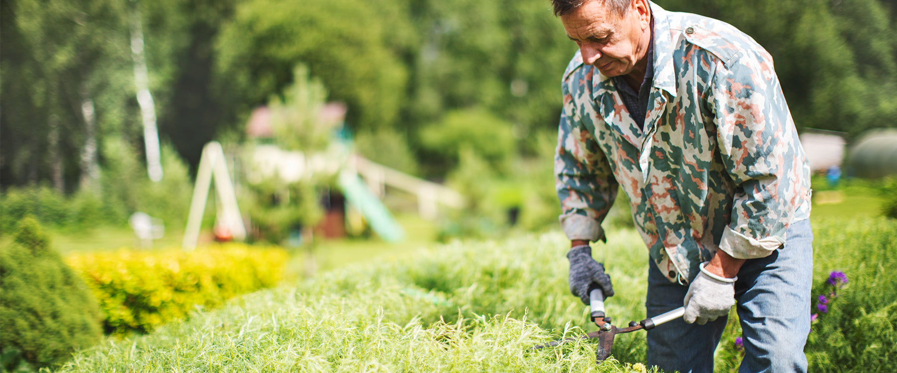 Forestry Tools - Professional tree planting, pruning and measuring