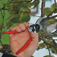 Felco 2 Pruner - Forestry Tools