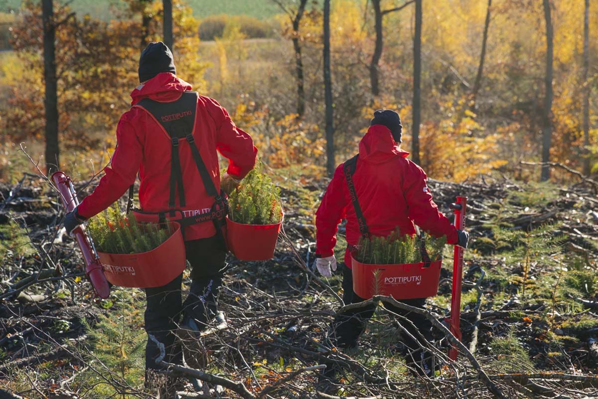 Forestry Solutions - Foresty Tools - Forestry Tools