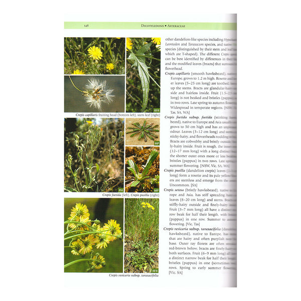 Weeds of the SE - Identification Guide - Forestry Tools