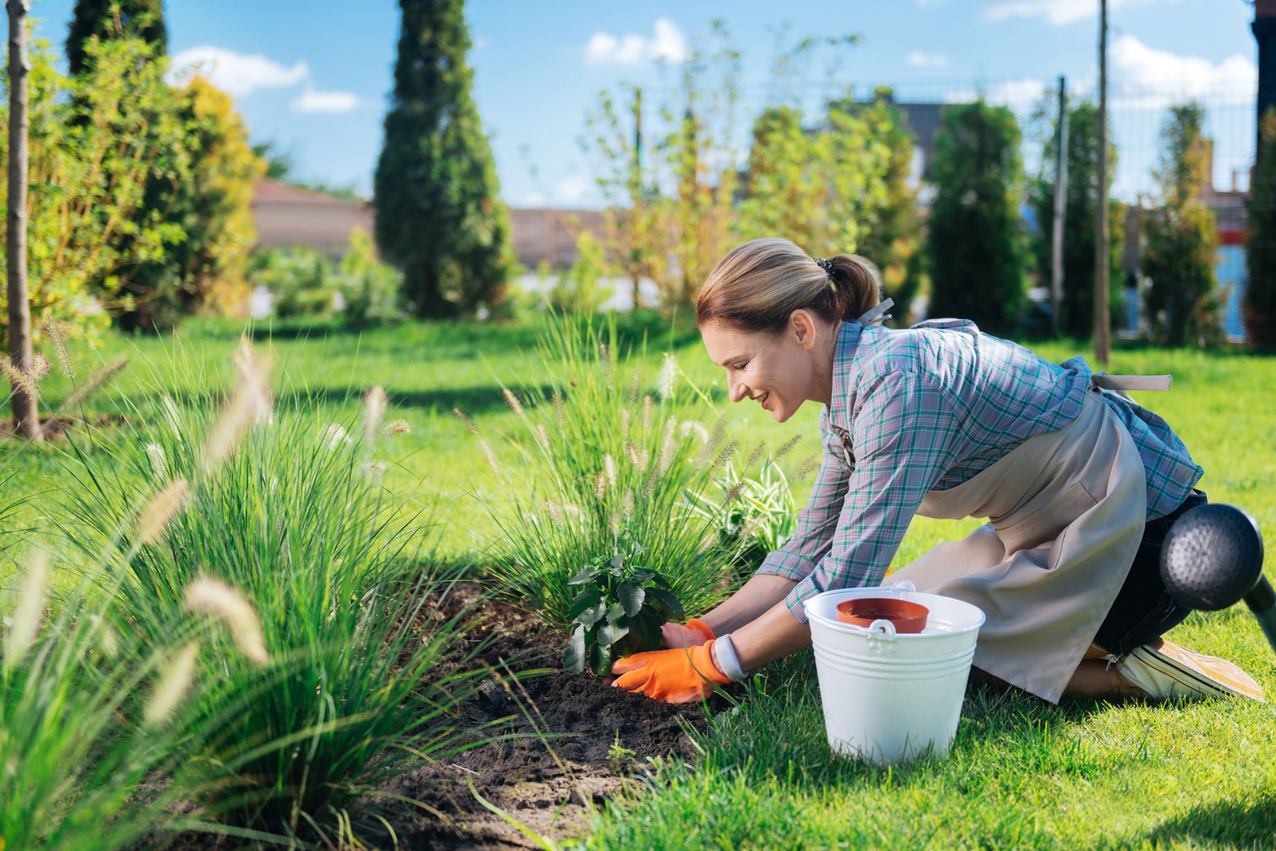 Silky Saws Australia - Forestry Tools