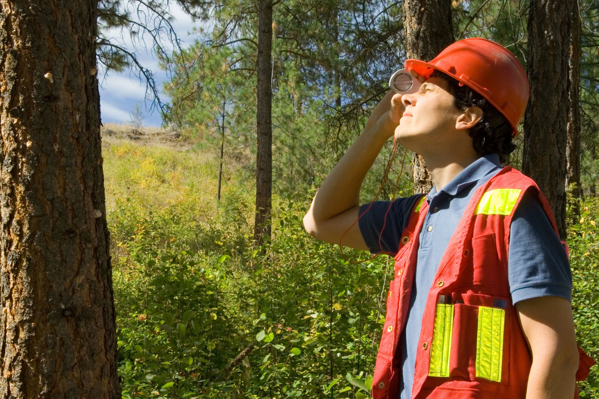 Logging & Diameter Tapes - Forestry Tools