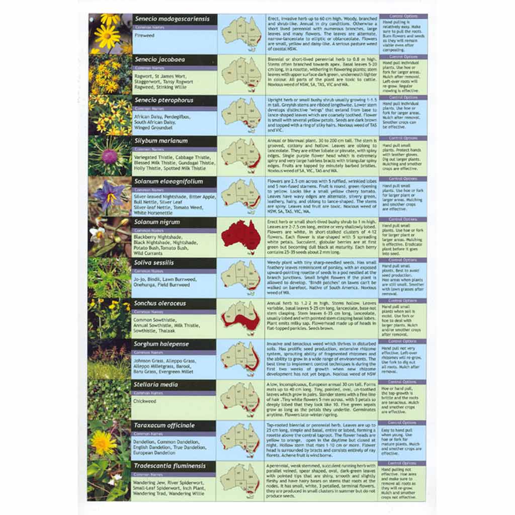 78 Garden Weeds Chart - Forestry Tools