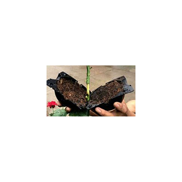 Air Layering Capsule Small (x5) - Forestry Tools