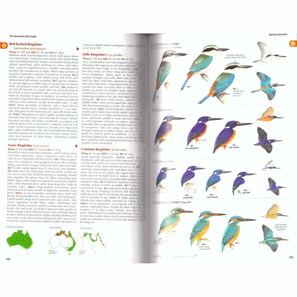 Australian Bird Guide - Forestry Tools