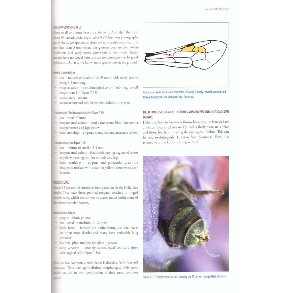 Australian Native Bees - Forestry Tools