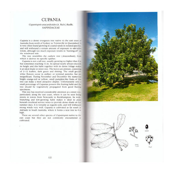 Field Guide to Australian Trees - Forestry Tools