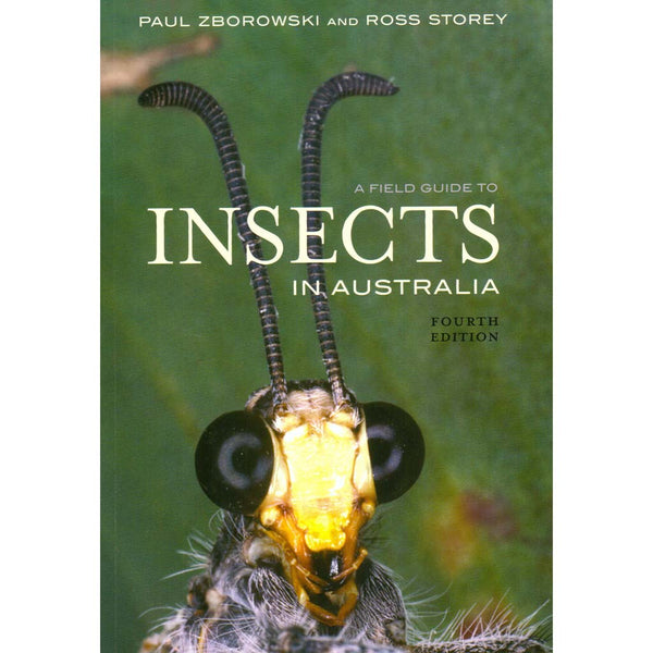 Field Guide to Insects in Australia - Forestry Tools