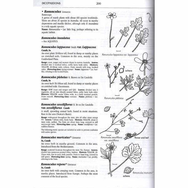 Field Guide to Native Plants of Sydney - Forestry Tools