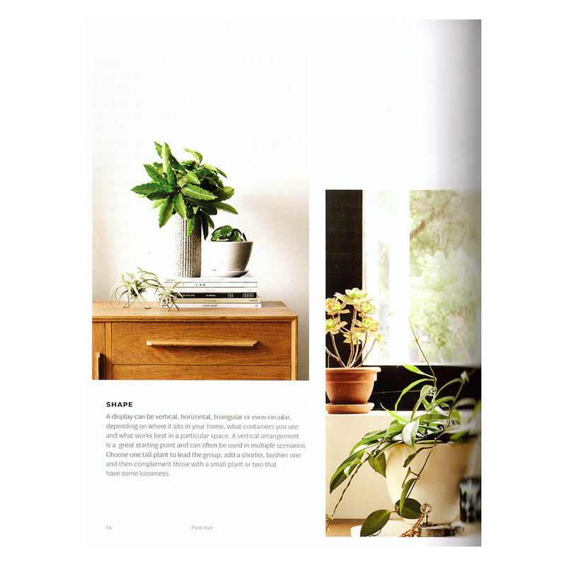 Plant Style - Forestry Tools
