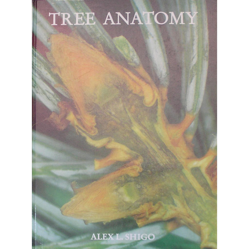 Tree Anatomy - Forestry Tools