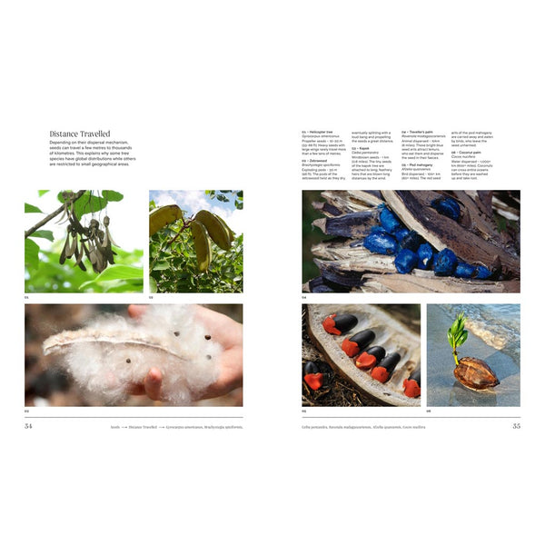 Trees - From Root to Leaf - Forestry Tools